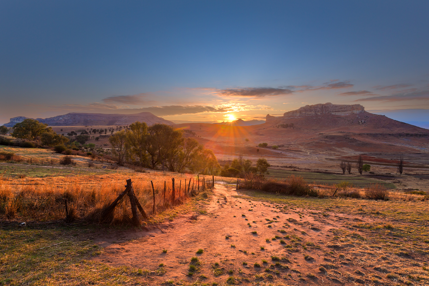 How To Figure Out The Cost Of A Family Road Trip Bloemfontein Courant how-to-figure-out-the-cost-of-a-family-road-trip-bloemfontein-courant